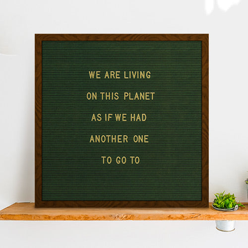 Blue and Green Open Face Felt Letter Boards 24x24 Wood Framed ...